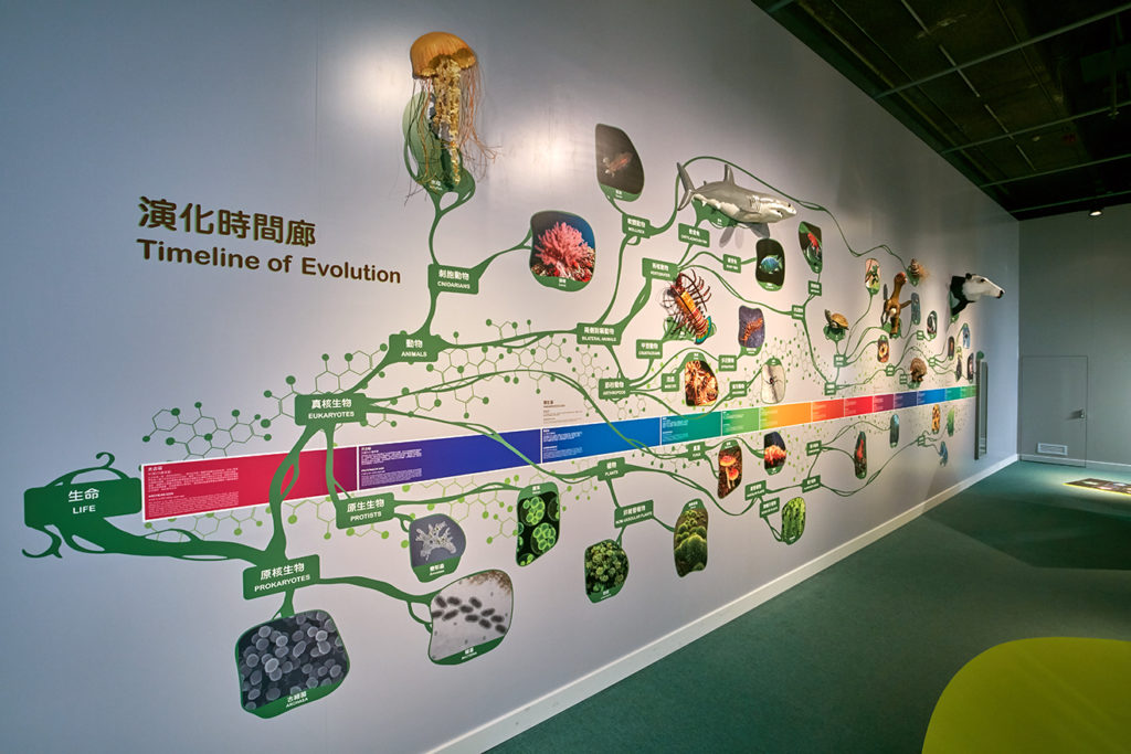 An Advantage for Success at the Hong Kong Science Museum - Altman Lighting